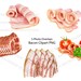 Bacon Slice Slices Food PNG Bundles Bundle Meat Pork Clip Art Overlay ...