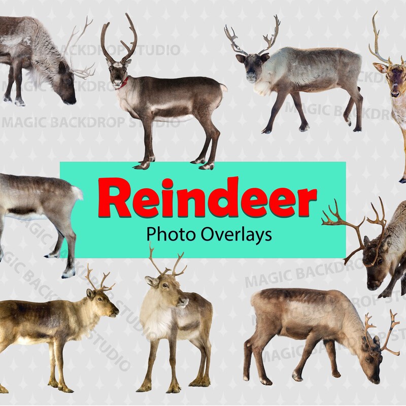 Reindeer Overlay - Etsy