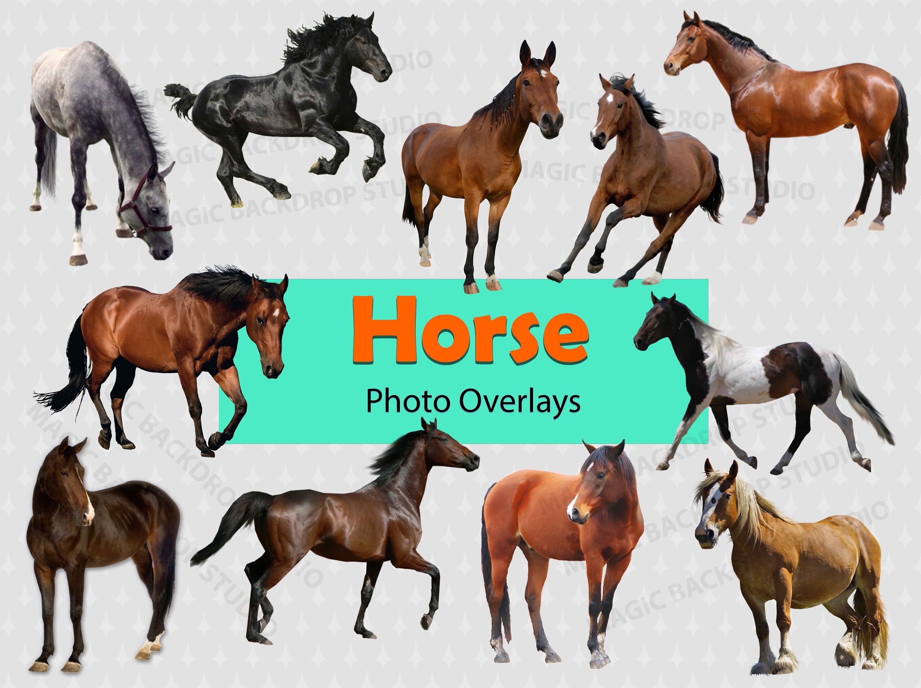 Horse PNG Running Brown Horses Animal Cut Out Clip Art Overlay - Etsy ...