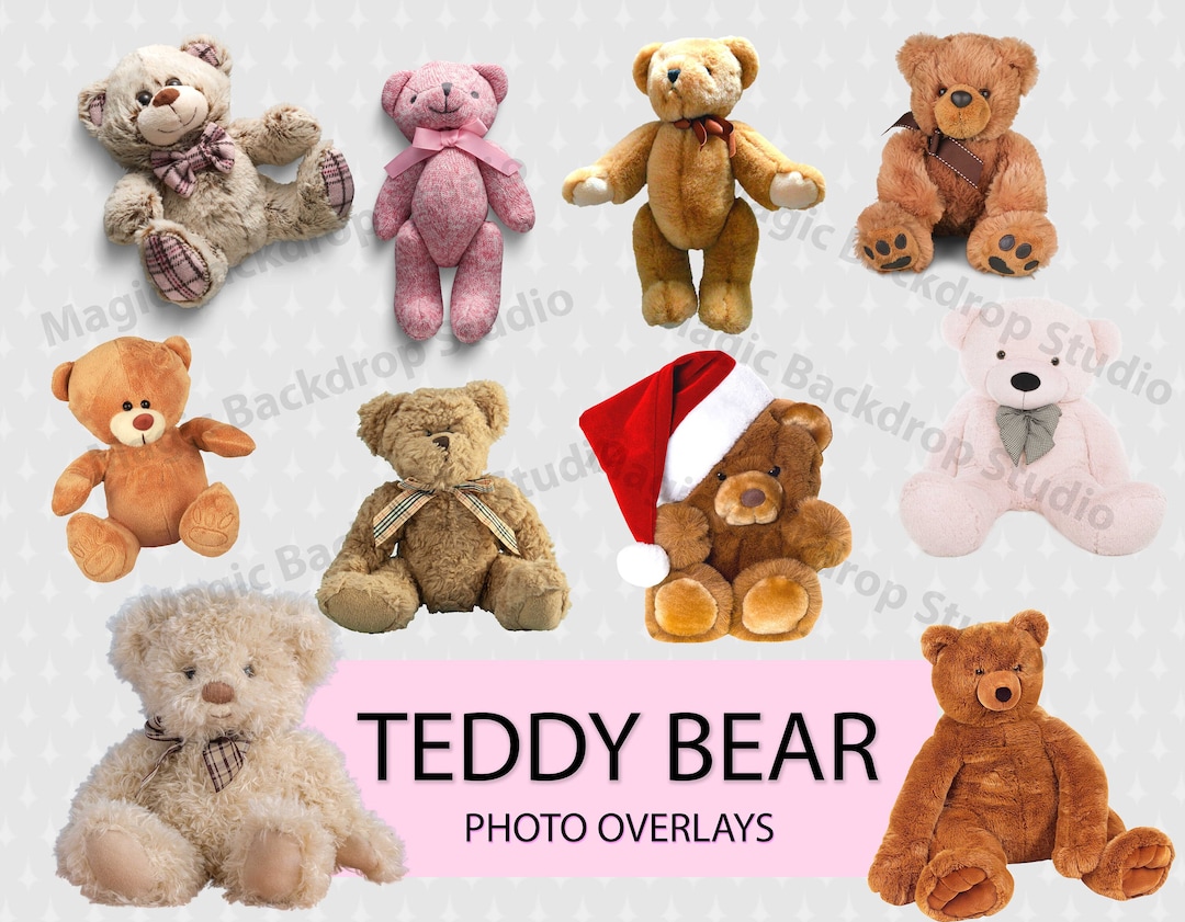 Teddy Bear Baby Cute Bears Overlay Photoshop Overlays Photoshop Prop ...