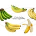 Banana Bananas Fruit PNG Foods Fruits Photo Yellow Clip Art Overlay ...