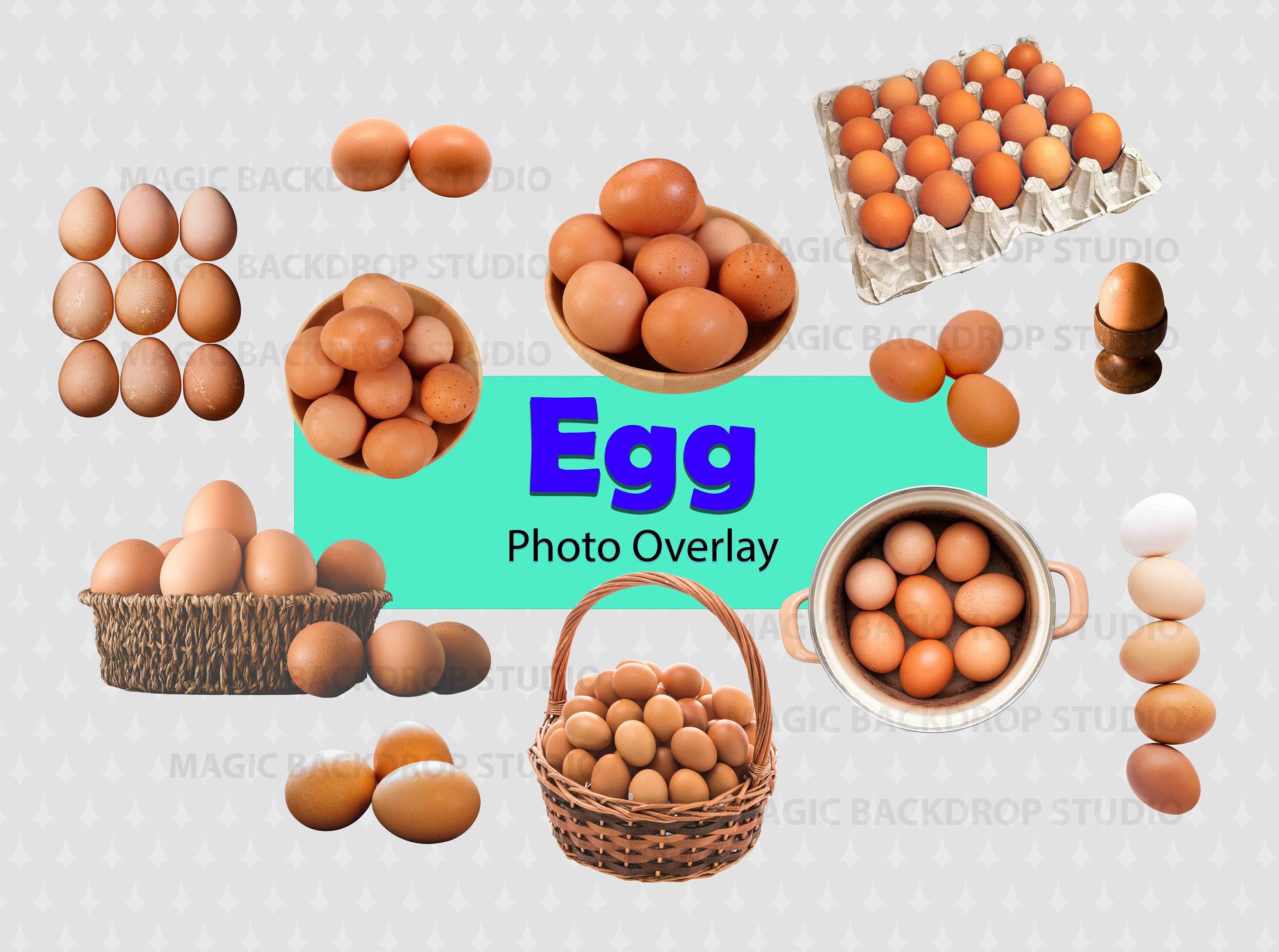 Eggs Egg Laying Chicken Chickens Animal Clip Art Overlay - Etsy