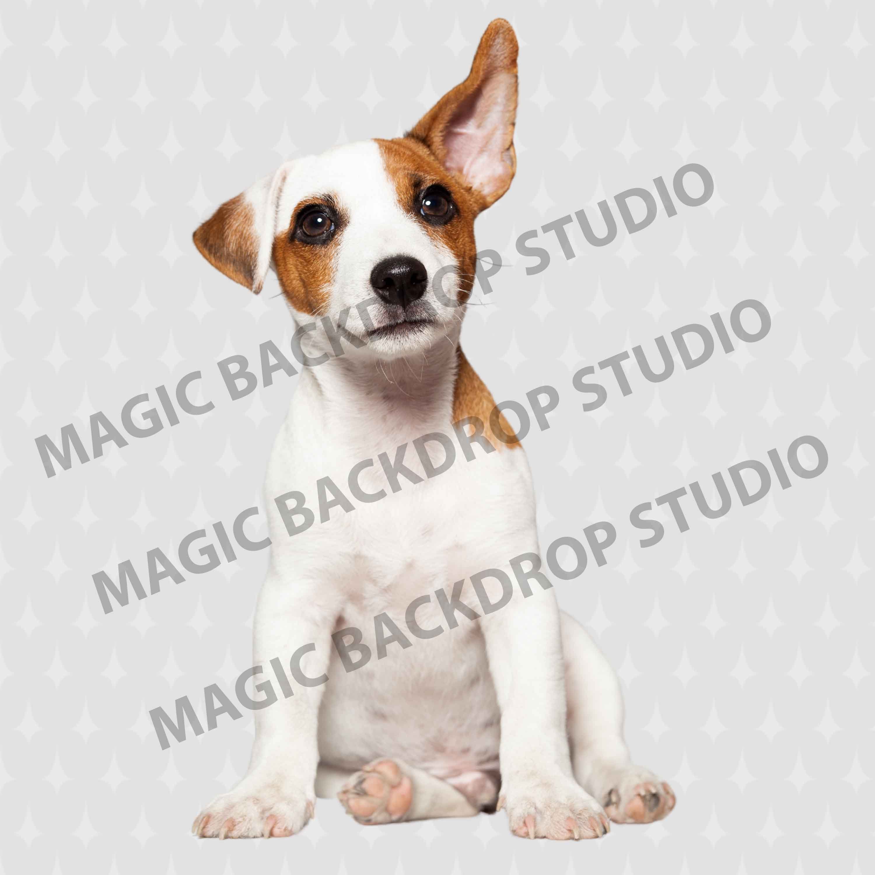 Puppy Puppies Animal Dog Overlay Photoshop Overlay Mock up - Etsy