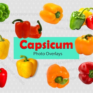 Capsicum Pepper PNG Bundle Bell Pepper Foods Vegetable Vegetables Clip ...