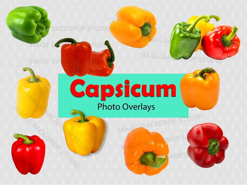 Capsicum Pepper PNG Bundle Bell Pepper Foods Vegetable - Etsy