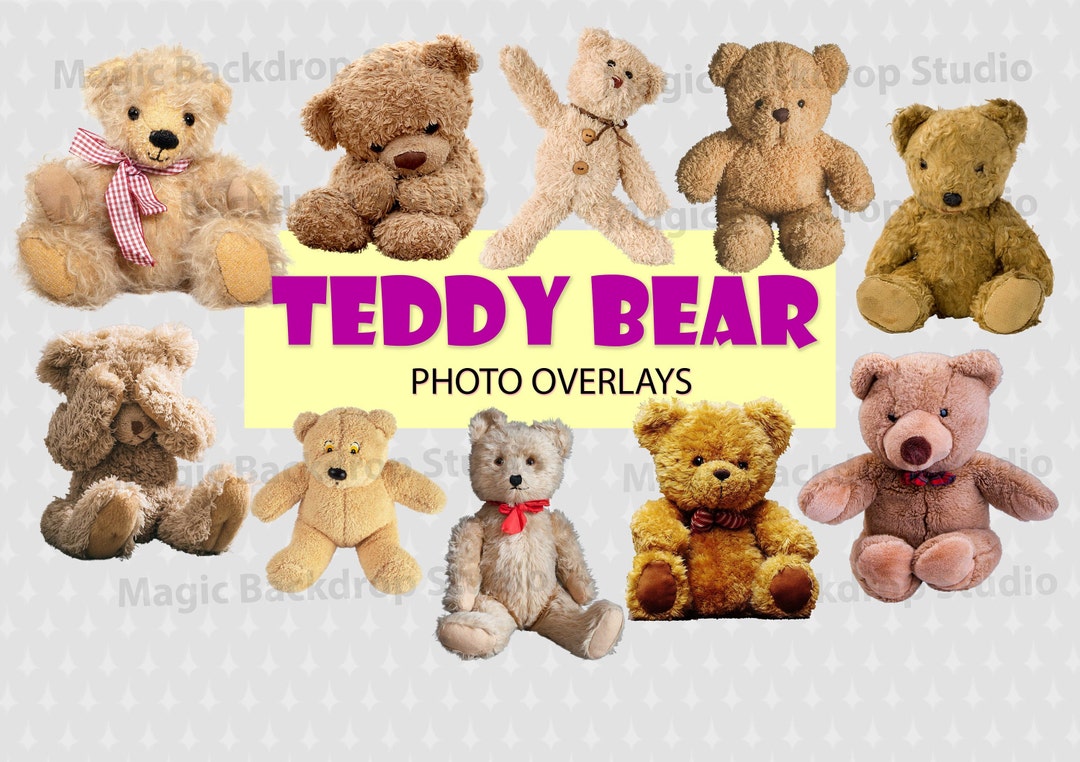 Teddy Bear Baby Cute Bears Overlay Photoshop Overlays Photoshop Prop ...