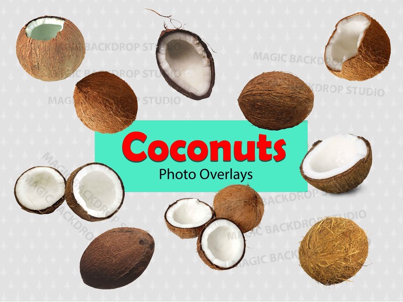 Coconut Coconuts Fruit PNG Bulk Bundle Foods Fruits Palm Tree Clip Art ...