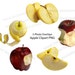 Apples Apple Fruit PNG Foods Fruits Teacher School Yellow Clip Art ...