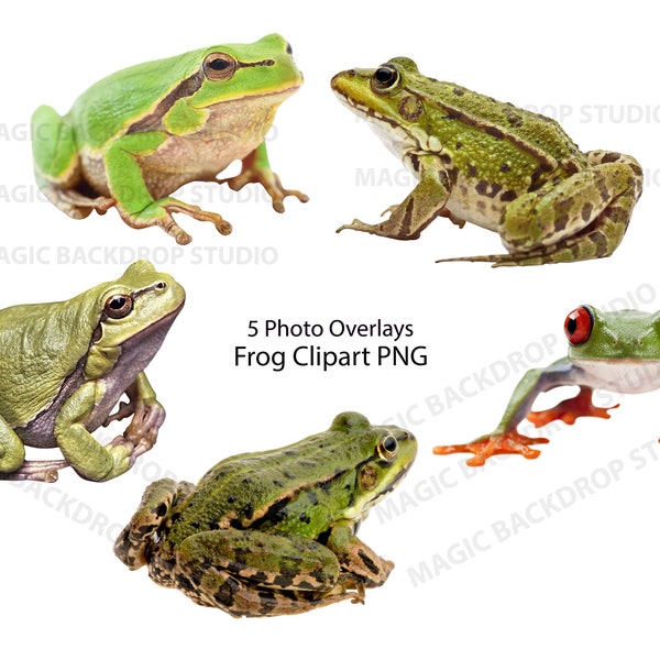 Frog Clipart - Etsy