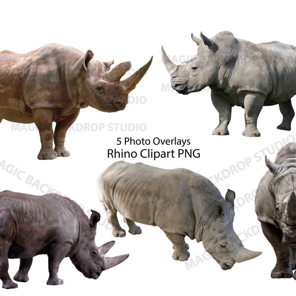 Rhinoceros Art - Etsy