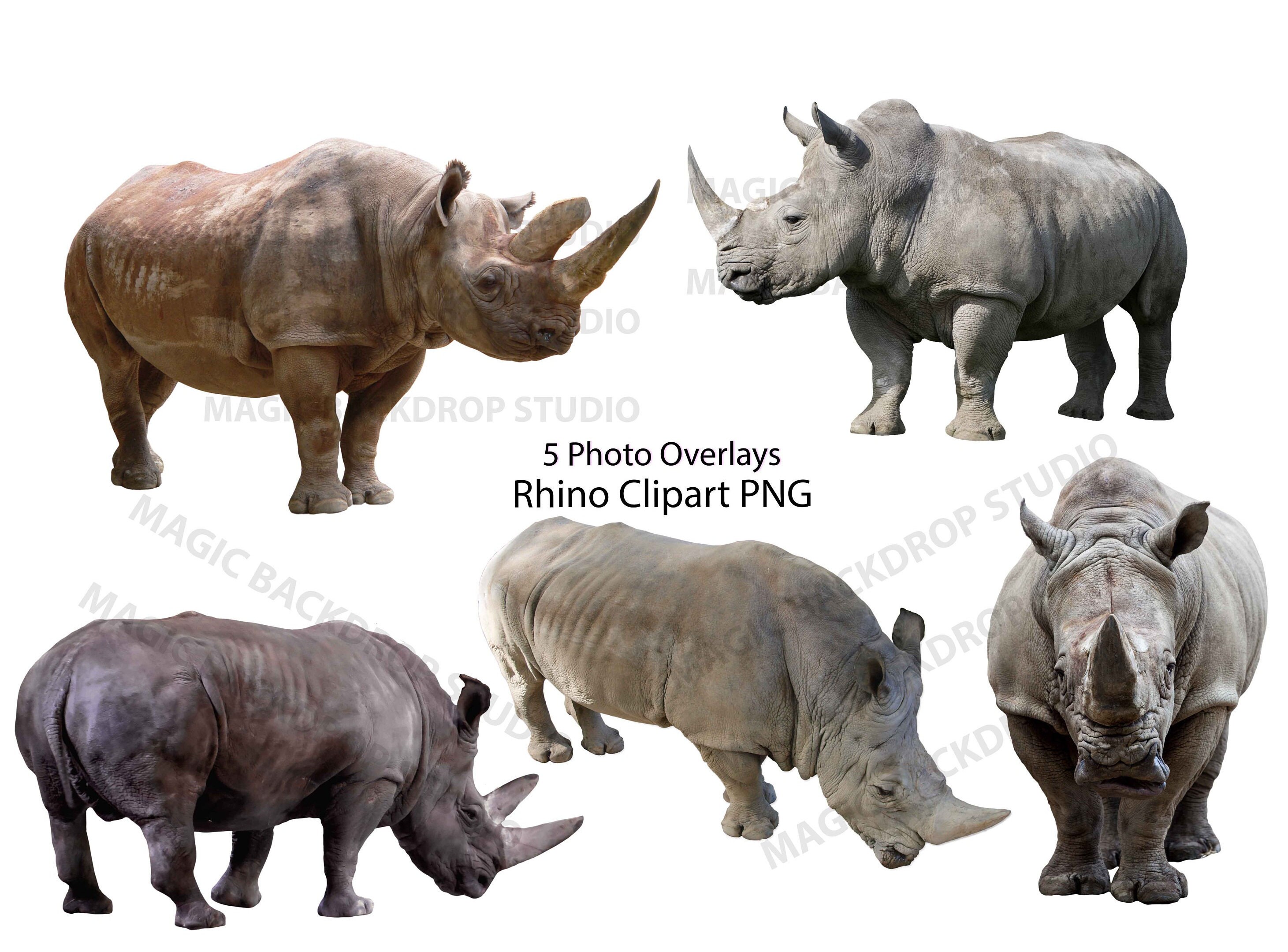 Rhino Clipart Black And White