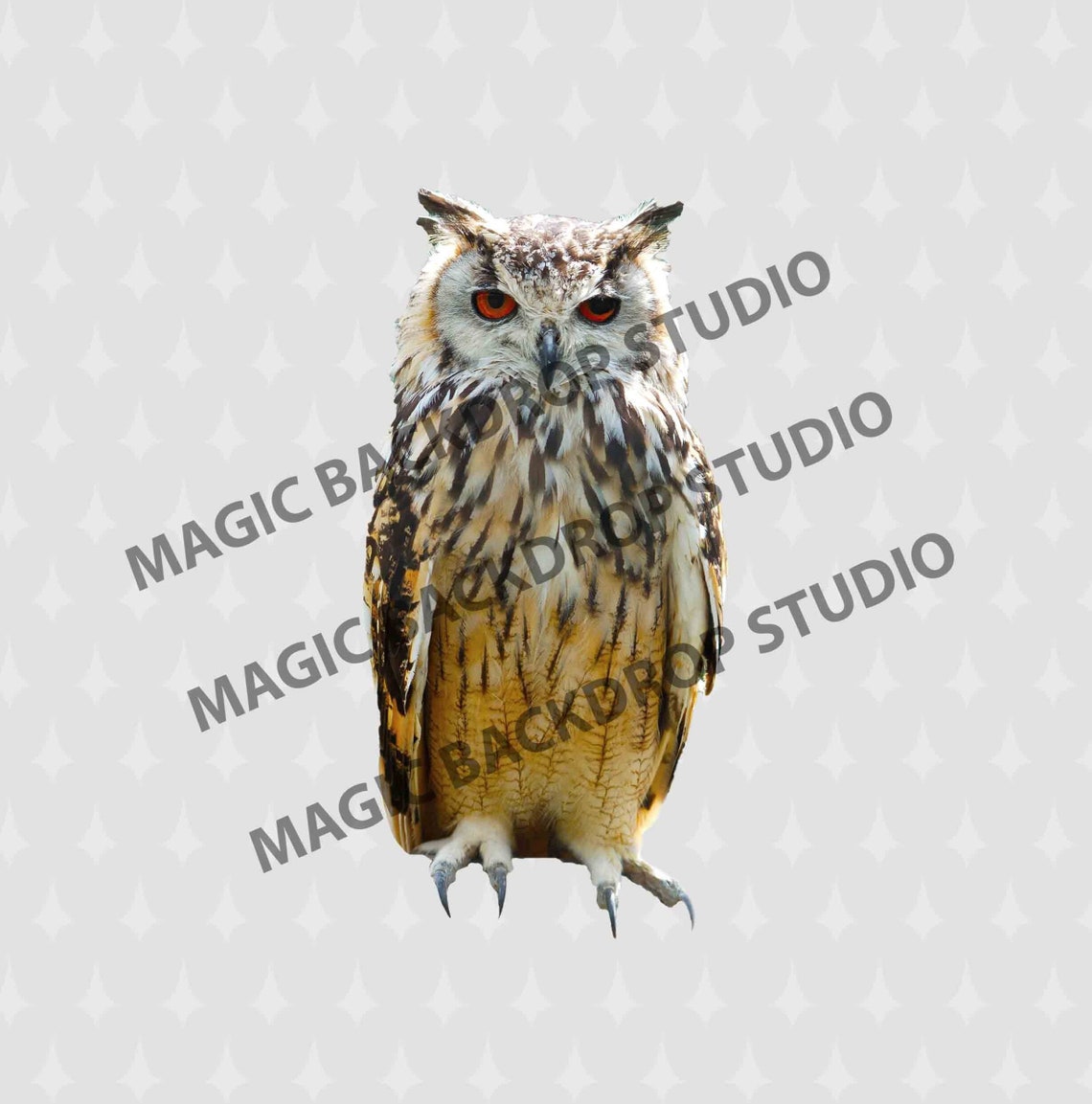 Owl Owls Brown Gray Animal Owl Clip Art Overlay Photoshop Image ...