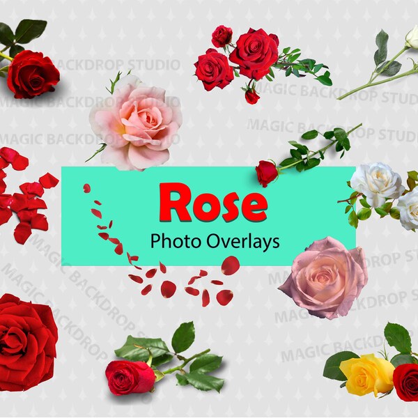 Airplane Aeroplane Airbus Flying Plane Jet Clip Art Overlay Photoshop ...