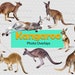 Kangaroo Kangaroos Bundle PNG Clip Art Australian Wild Jumping - Etsy ...