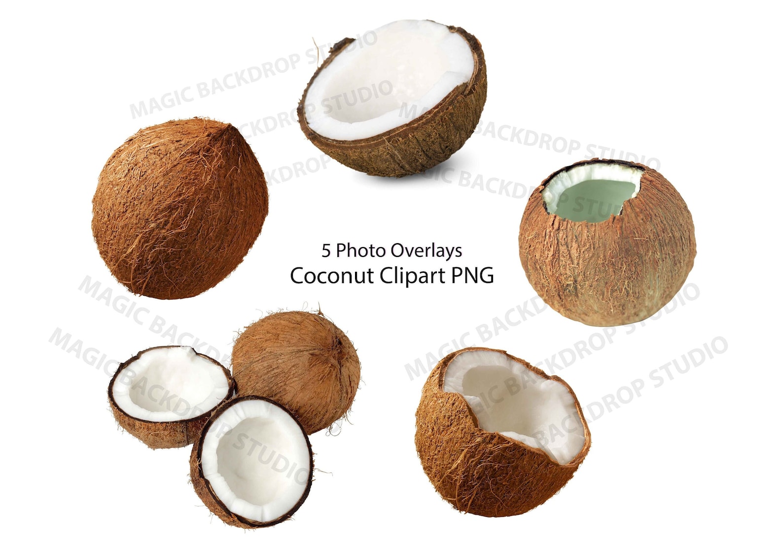 Coconut Coconuts Fruit PNG Bundle Foods Fruits Palm Trees Clip Art ...