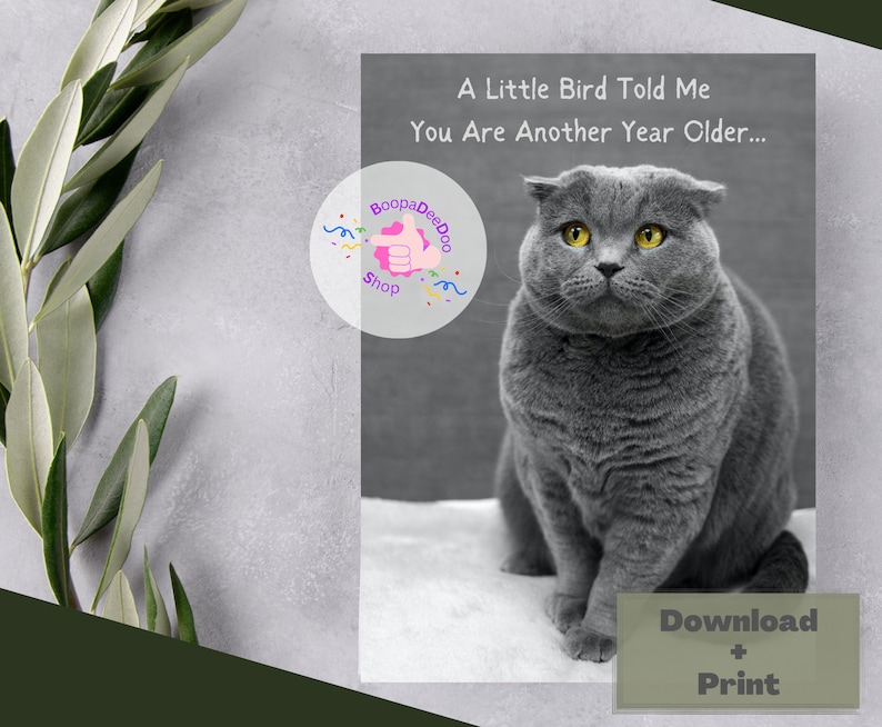 Happy Birthday Card Cat Birthday Card Funny Birthday Card Cute Animals ...