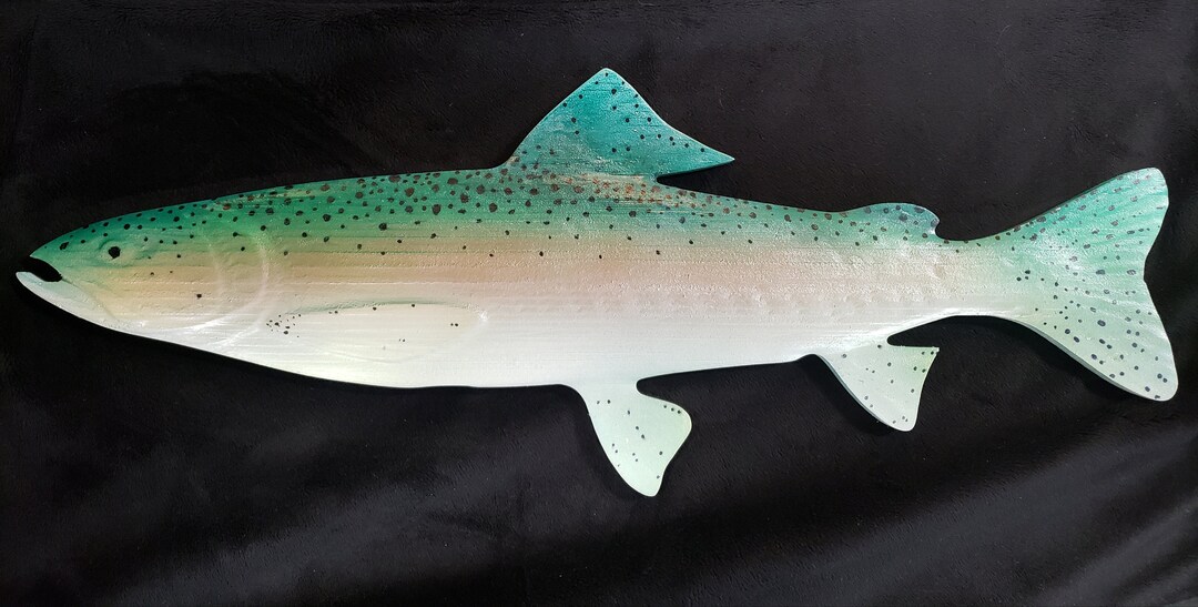 Steelhead Wall Art - Etsy