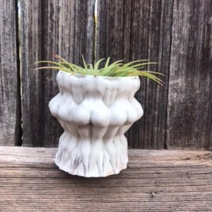 Booty Pot: Small Plant, Succulent, Trinket Holder (3-4") - Etsy