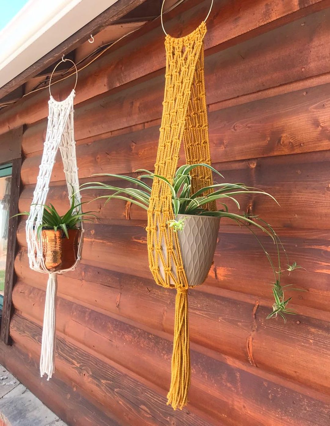 Macrame Hoop Plant Hanger - Etsy