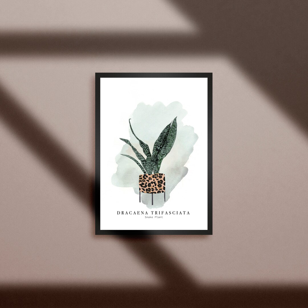 Printable Snake Plant Art Print for House Plant Lovers, Plant Poster ...