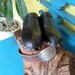 80s Does 70s by 'mollini' Leather Clogs - Etsy