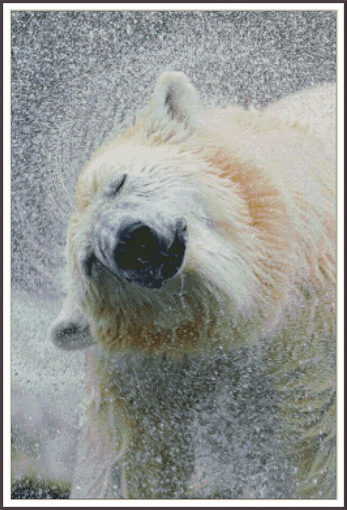 Arctic Heir Polar Bear Wild Grizzly Bear Forest Squirrels Chickadees in ...