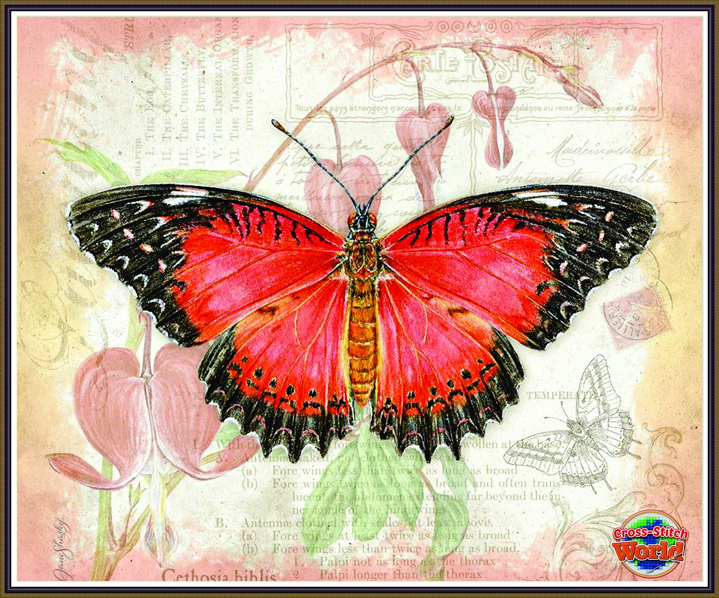 Big Red Wings Butterfly - Chart Counted Cross Stitch Pattern Needlework ...