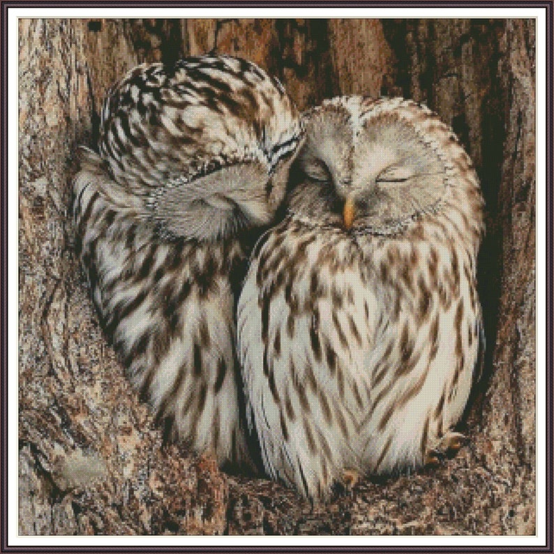 Love Story Screech Owl Furious Owl Birds - Chart Counted Cross Stitch ...