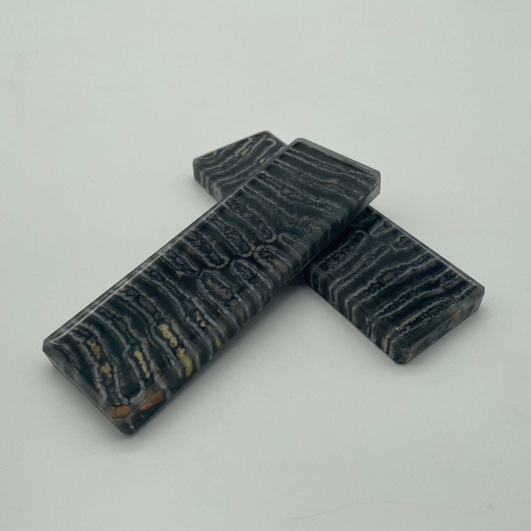 Knife Handle Shells Knife Construction Knife Handle Fossils Tusk Bark ...