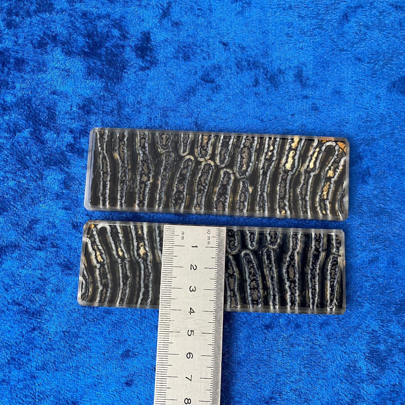 Knife Handle Shells Knife Construction Knife Handle Fossils Tusk Bark ...