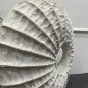 Handcrafted Coral Vase With Handles - Unique Coastal Decor Piece ...