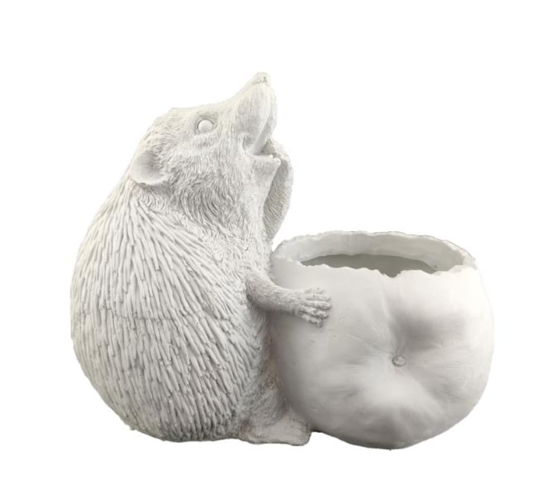 Hedgehog Planter Pot - Adorable Handmade Ceramic Planter, Cute Animal ...