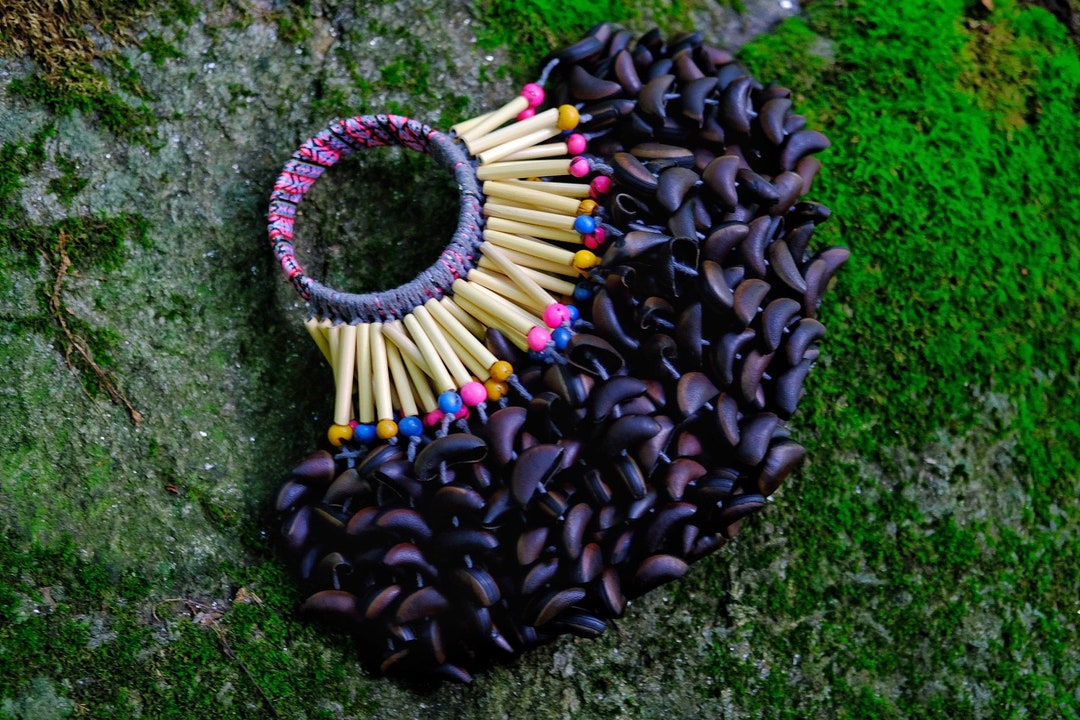 PINGUYO High Quality Shamanic Seeds Rattle Healing Native - Etsy