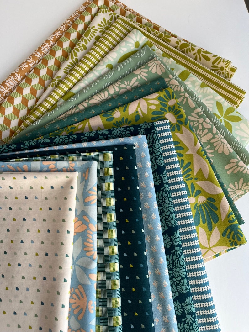 Evolve Collection * Fat Quarter Bundle Solid Match 25 PCS Art Gallery ...