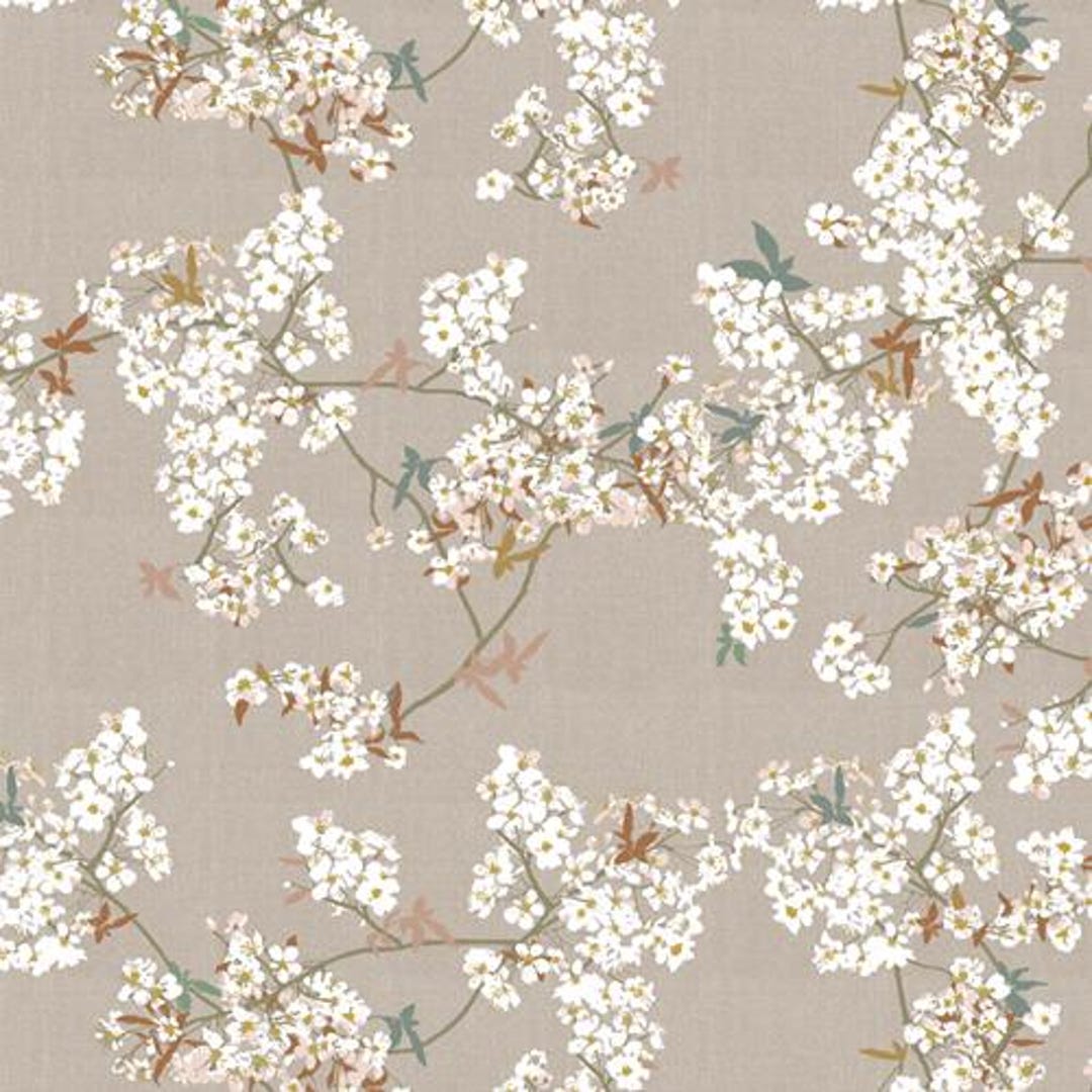 Preorder JAN Soar Collection * Skye Sakura Sprout SOA-87504 Katarina ...