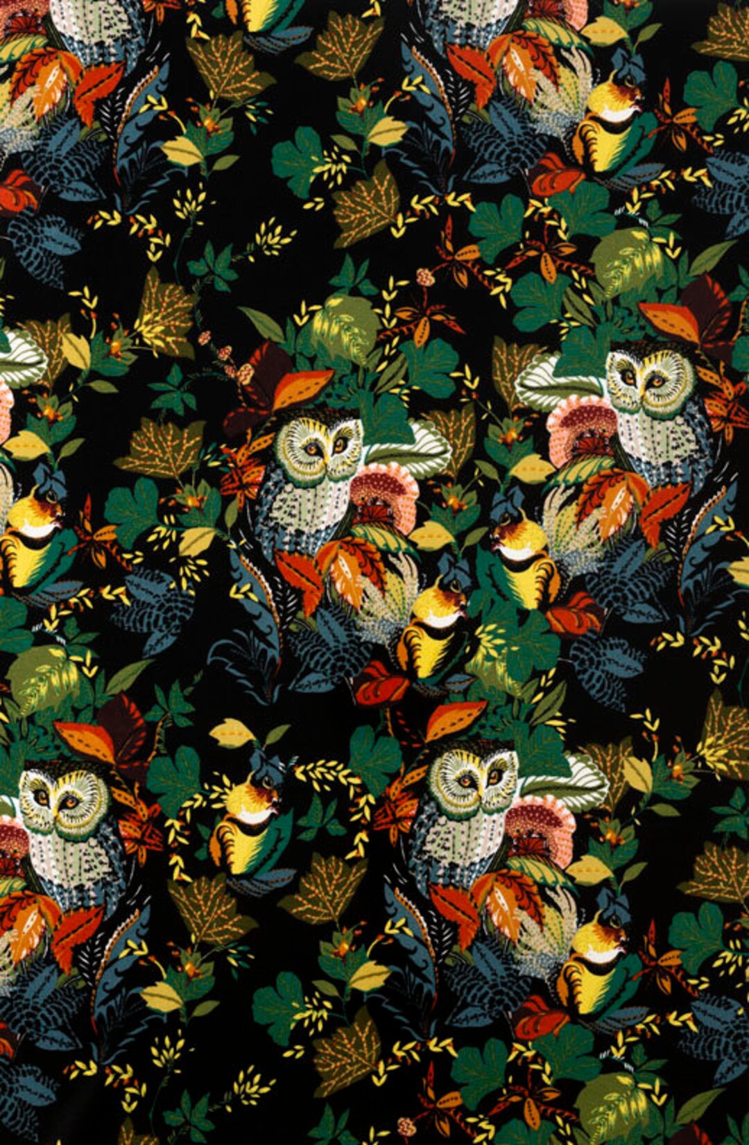 Harvest Owl " From Alexander Henry Cotton Quilt Fabric 8821B - Etsy