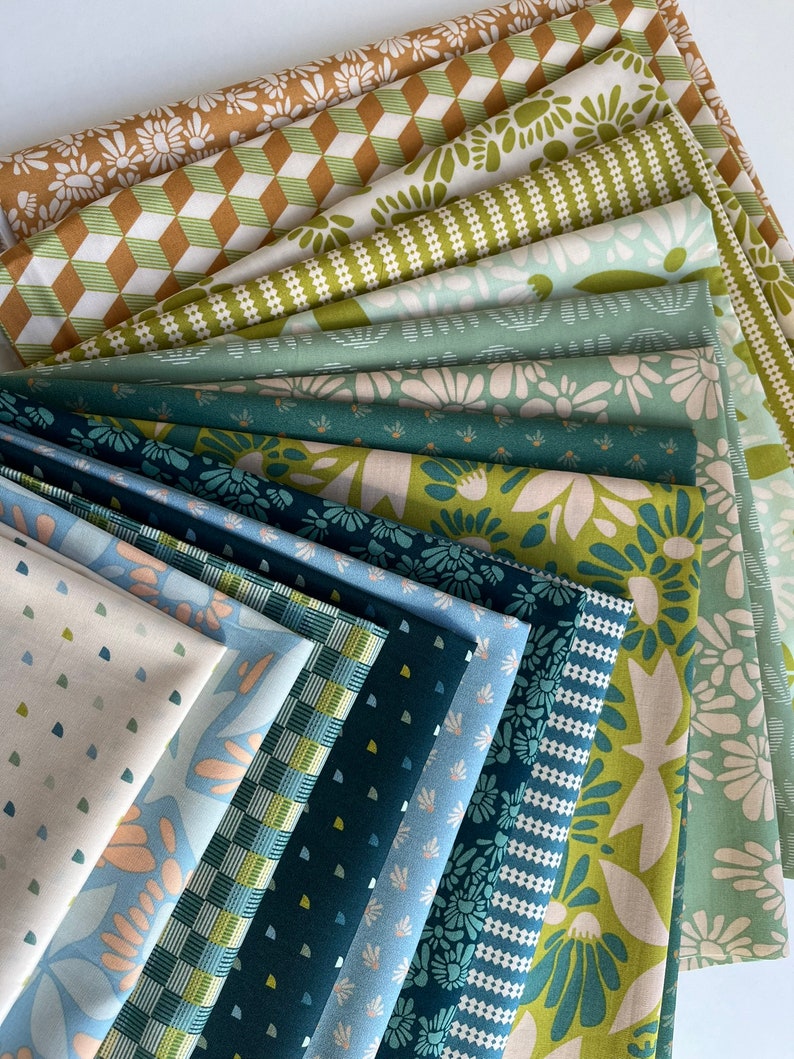 Evolve Collection * Fat Quarter Bundle Solid Match 25 PCS Art Gallery ...