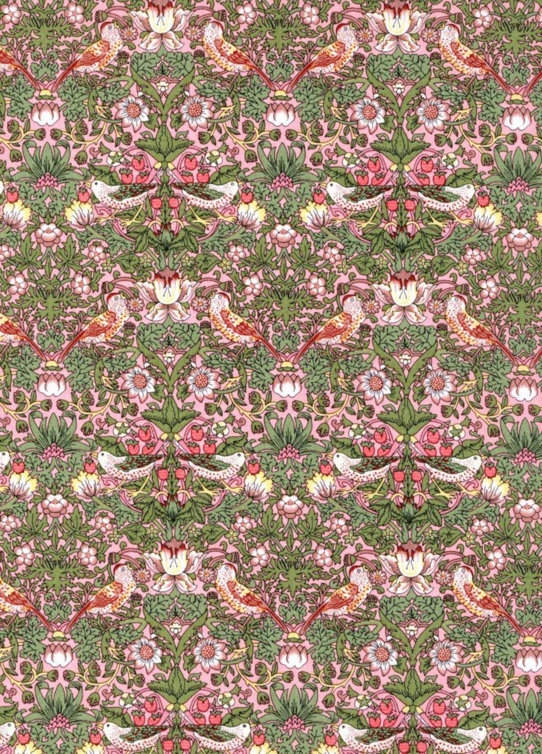 Liberty Fabrics Organic Tana Lawn Strawberry Thief Spring Colorway B ...