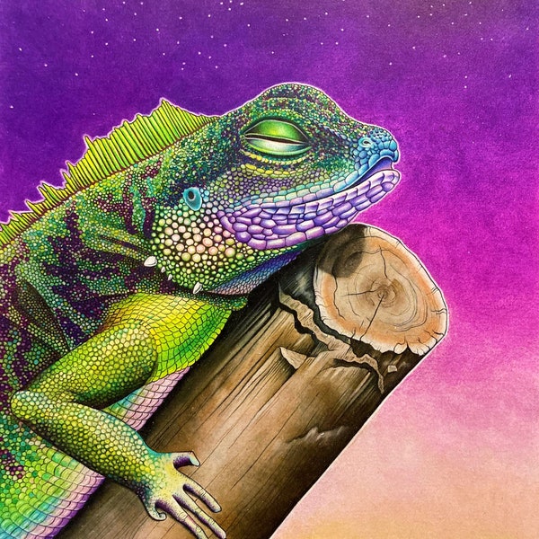 Reptile Portrait - Etsy
