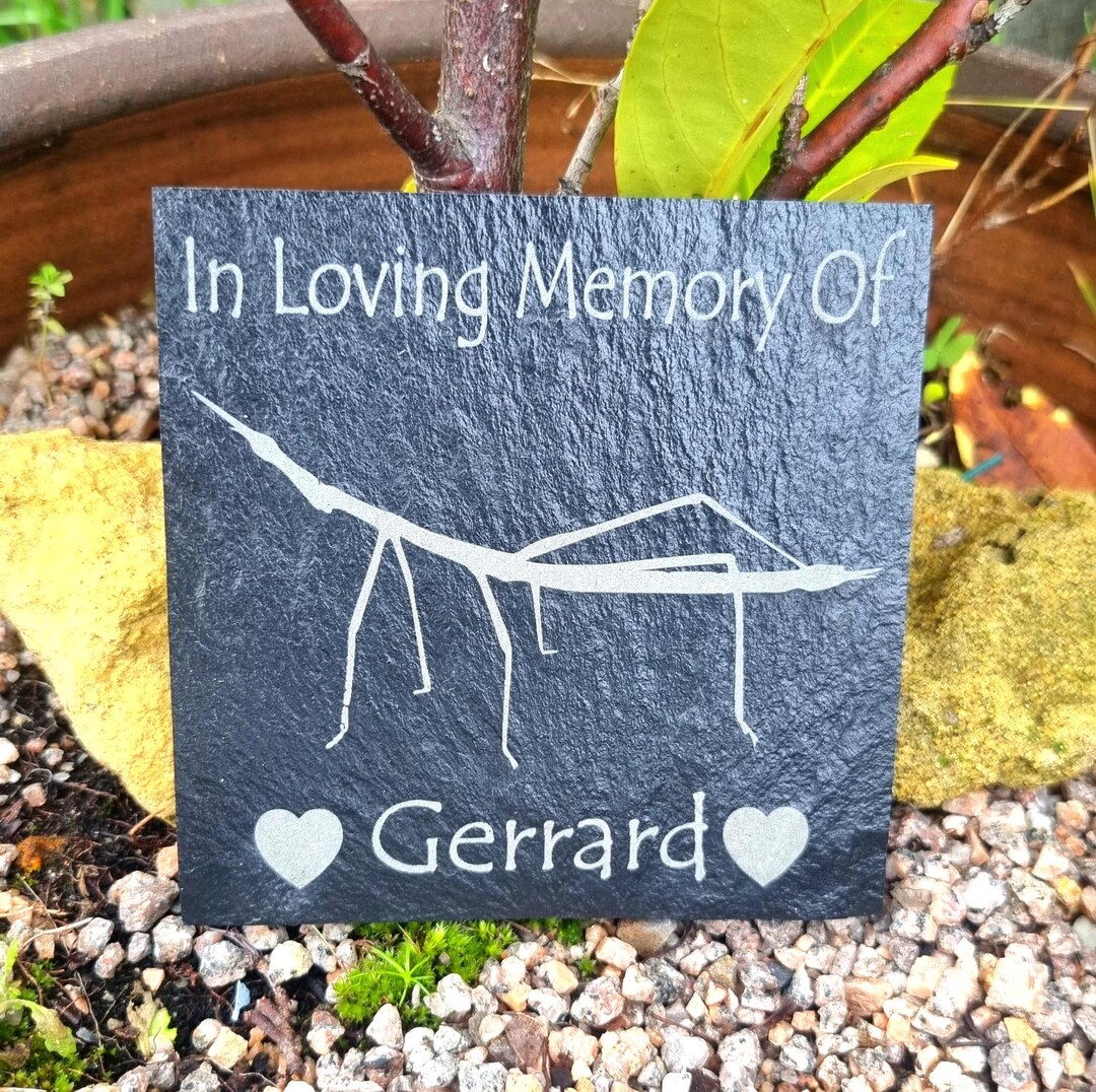 Stick Insect Memorial Slate Personalised Pet Gravestone Marker in ...