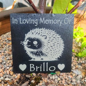 Hedgehog Memorial Slate Personalised Hedgehog Gravestone Marker in ...