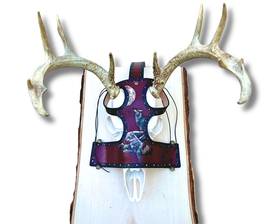 Simple Deer or Antelope Skull Mount Kit for DIY Taxidermy, Antler Craft ...