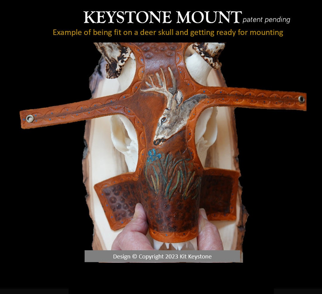 Euro Skull Mount DIY Kit, Whitetail Deer Tooled and Painted on Leather ...