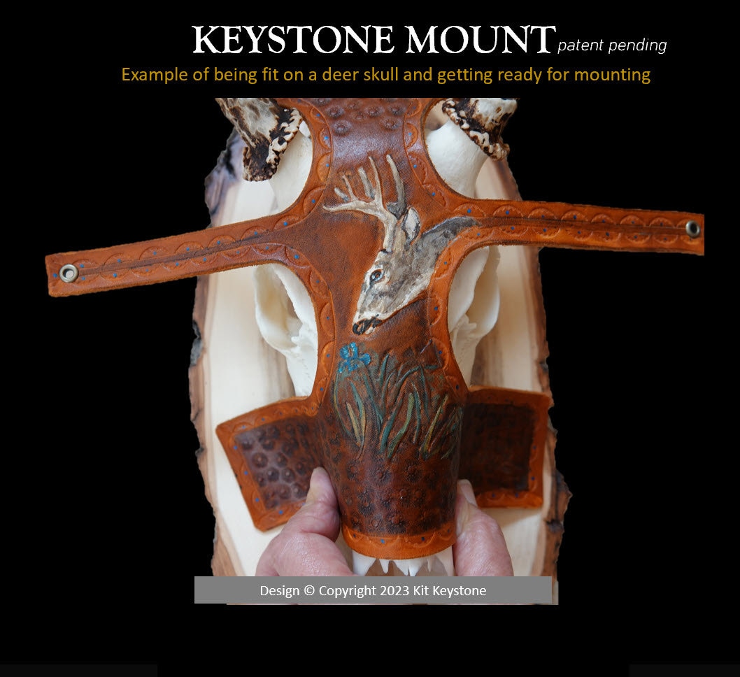 Euro Skull Mount DIY Kit, Whitetail Deer Tooled and Painted on Leather ...