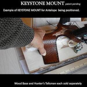 Euro Skull Mount DIY Kit Proghorn Antelope Tooled Painted on - Etsy