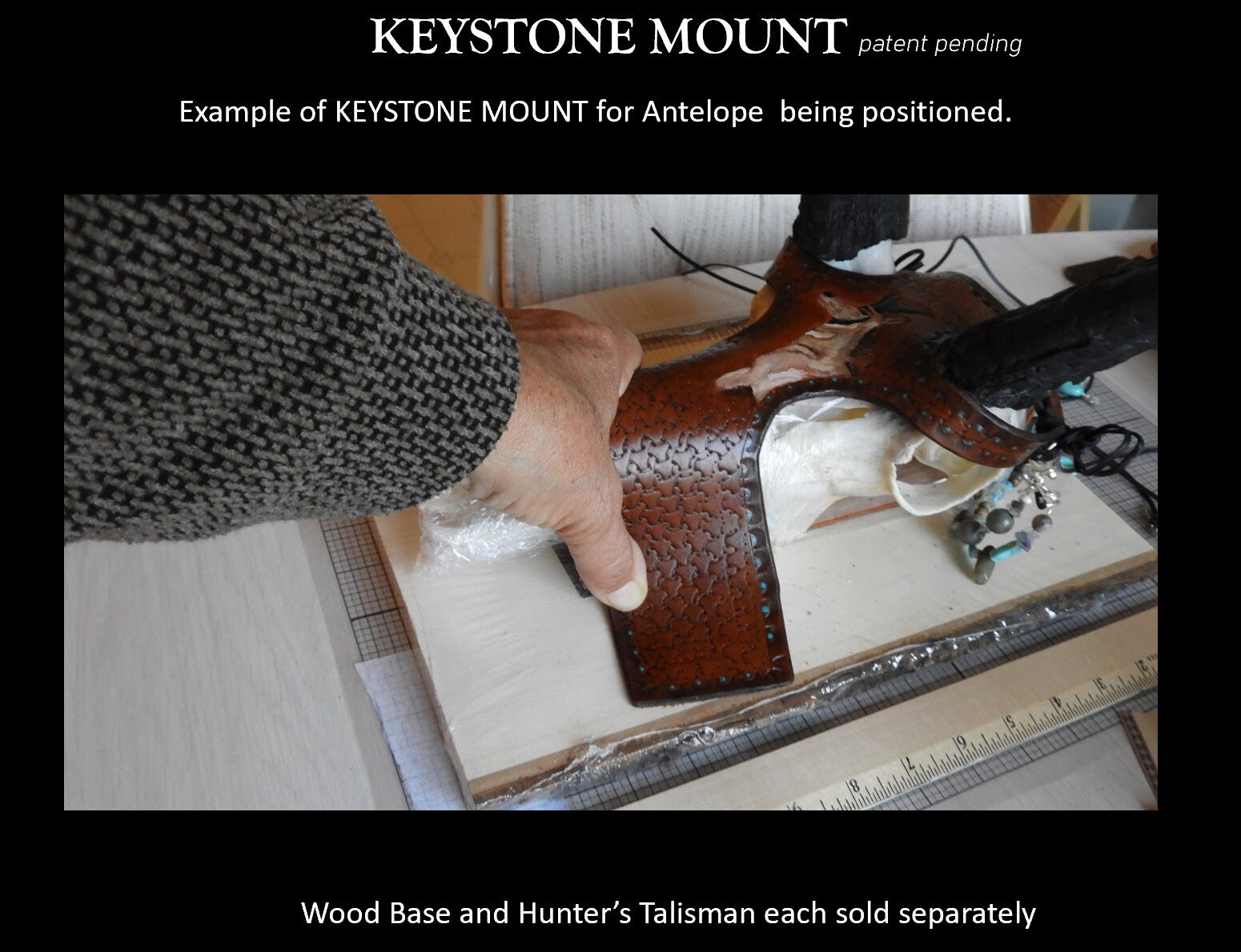 Euro Skull Mount DIY Kit Proghorn Antelope Tooled Painted on - Etsy