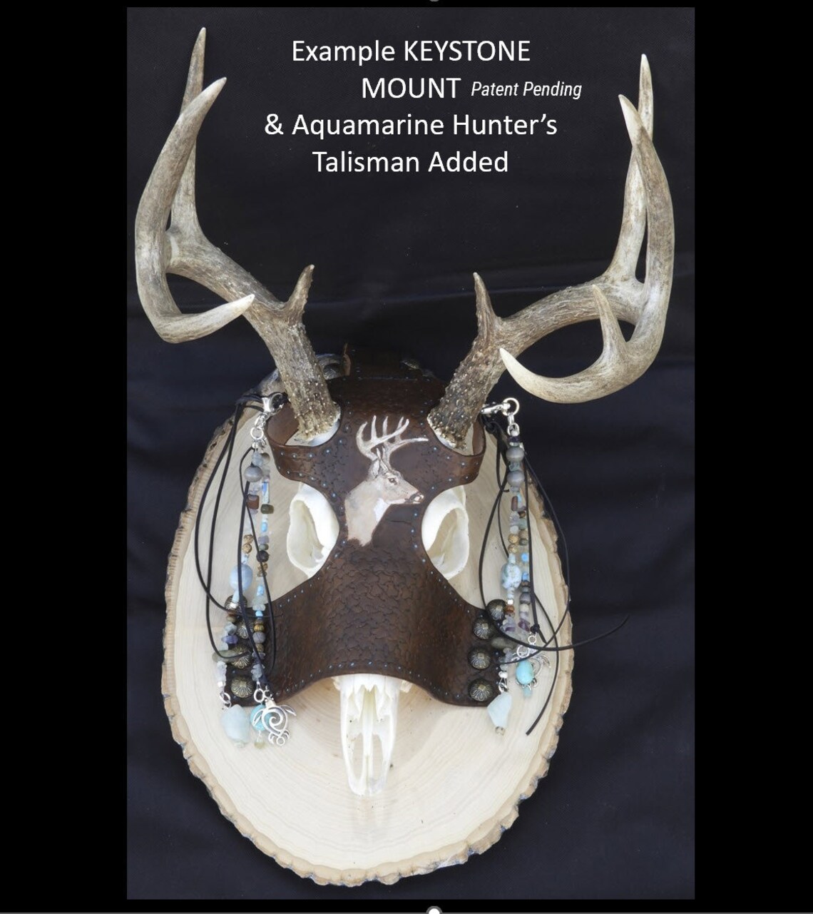 Deer Skull Mount DIY Kit, Whitetail Deer Tooled and Painted on Leather ...