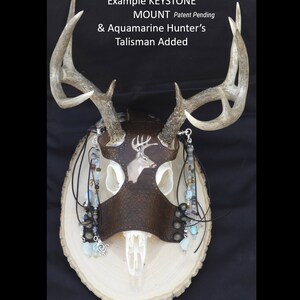 Deer Skull Mount DIY Kit, Whitetail Deer Tooled and Painted on Leather ...