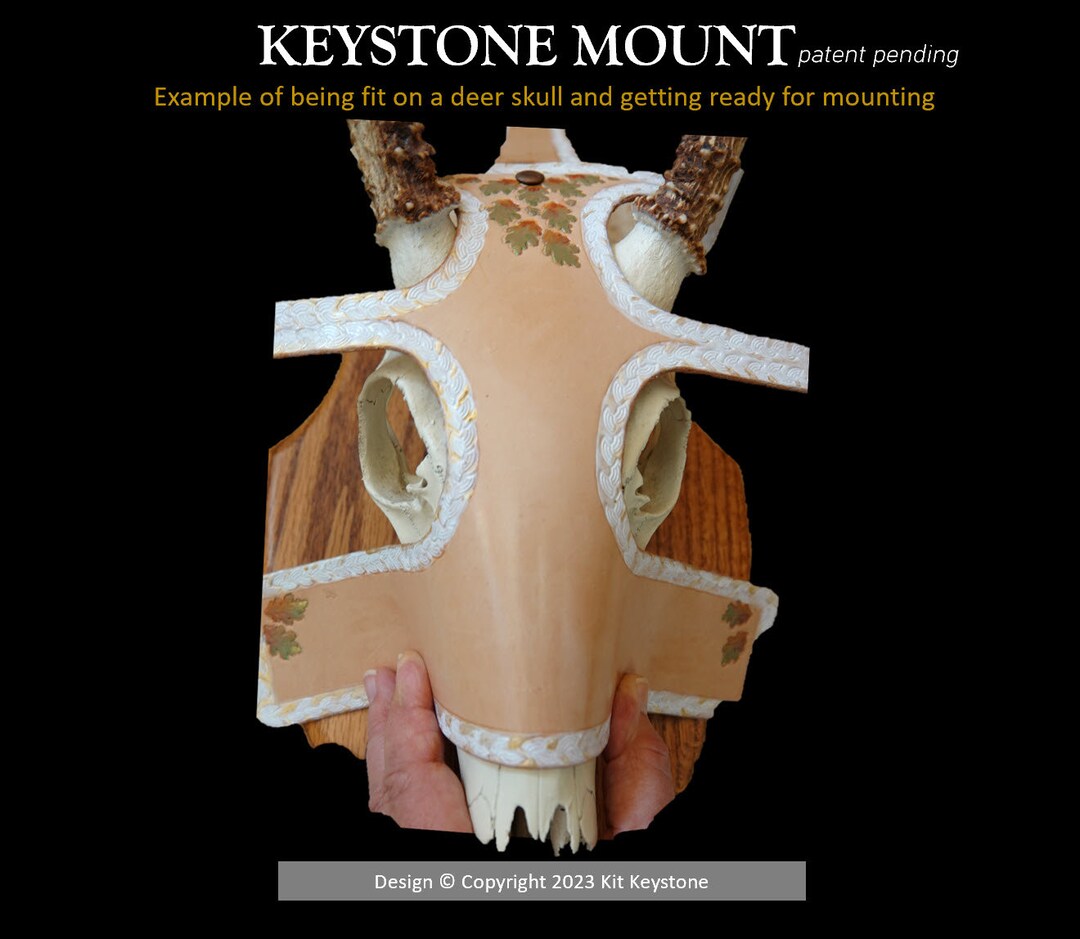 Skull Mount DIY Kit Botanical Tooled Leather and Painted - Etsy