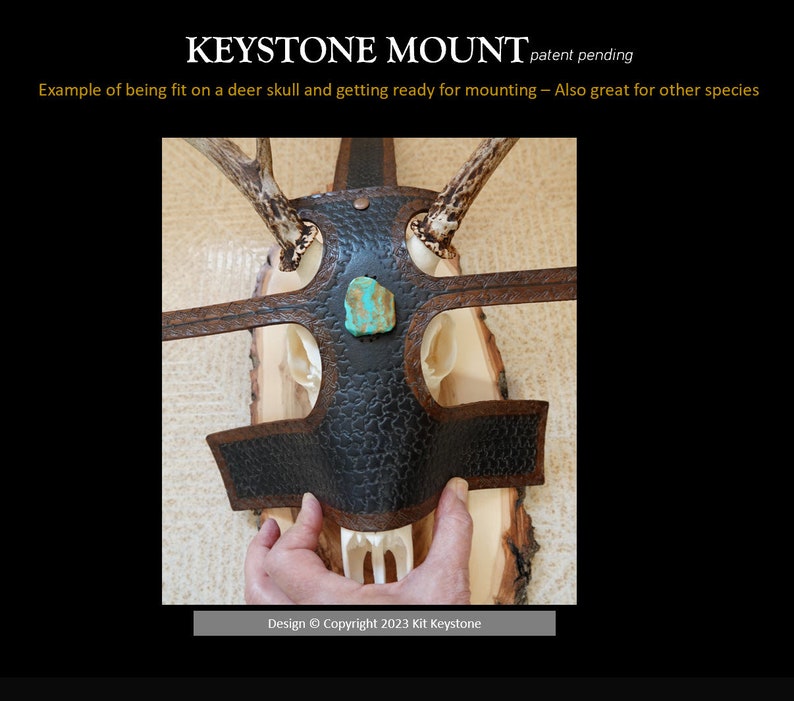 Euro Skull Mount DIY Kit, Kingman rising Phoenix Turquoise Set ...